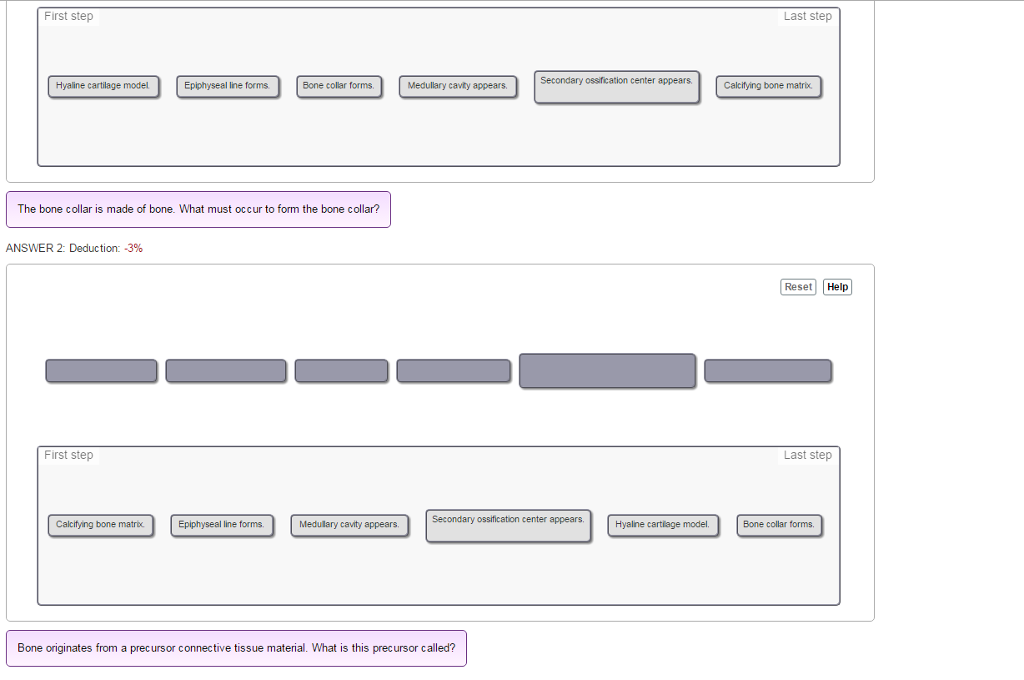 Solved Part D Ranking the Events of Ossification | Chegg.com