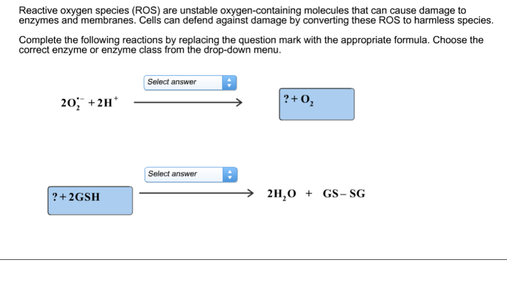 Solved Reactive oxygen species (ROS) are unstable | Chegg.com