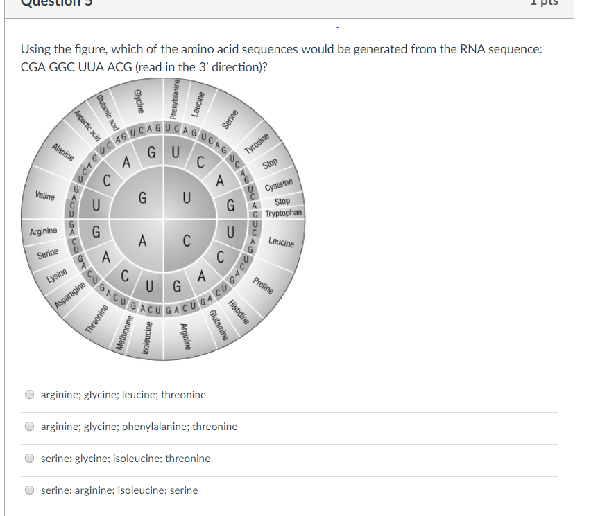 Solved Using the figure, which of the amino acid sequences | Chegg.com