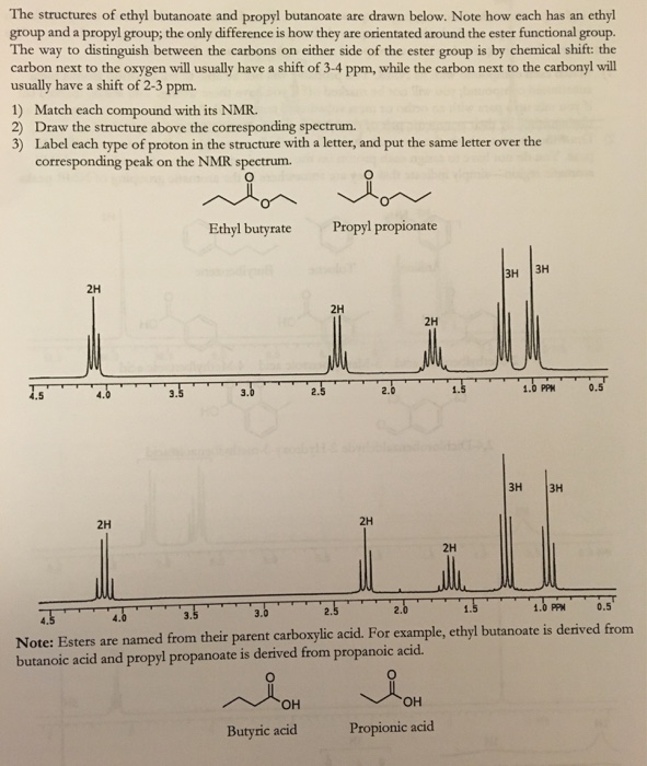 Solved The Structures Of Ethyl Butanoate And Propyl
