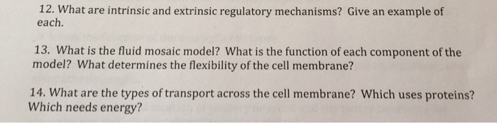 Solved What are intrinsic and extrinsic regulatory | Chegg.com