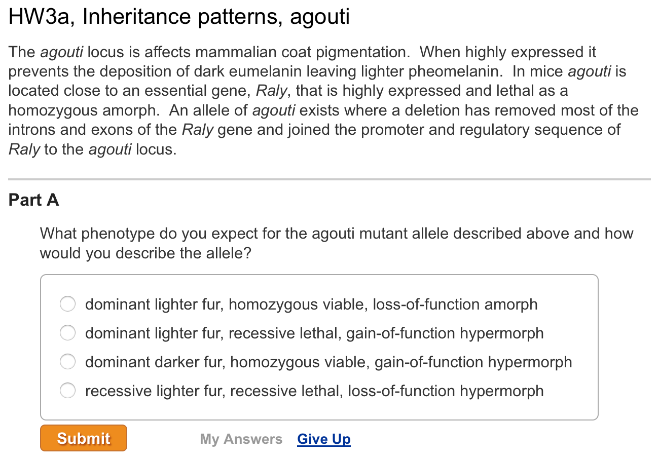 Solved The agouti locus is affects mammalian | Chegg.com