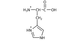 histidine charge at pH 7 | Student Doctor Network
