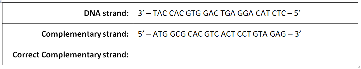 Solved (a) Describe the role that DNA polymerase plays in | Chegg.com
