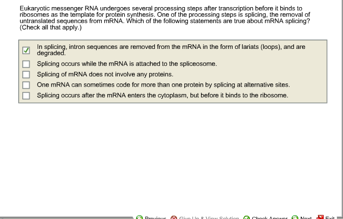Solved Eukaryotic messenger RNA undergoes several processing | Chegg.com