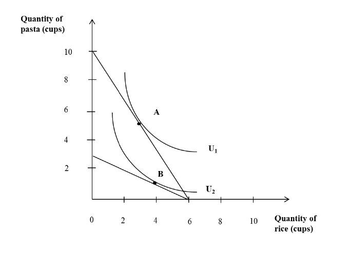 Solved Suppose that Monica faces an increase in the price of | Chegg.com