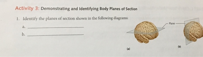 Solved Identify the planes of section shown in the following | Chegg.com
