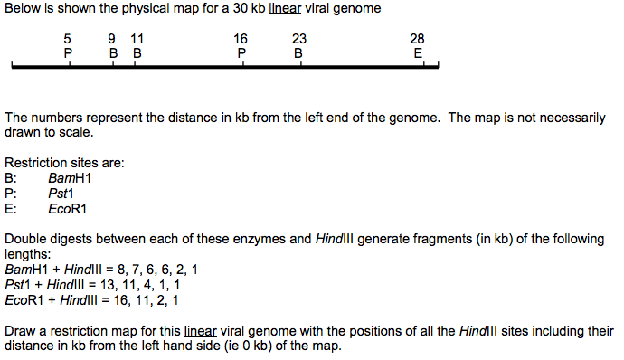 Solved Below is shown the physical map for a 30 kb linear | Chegg.com