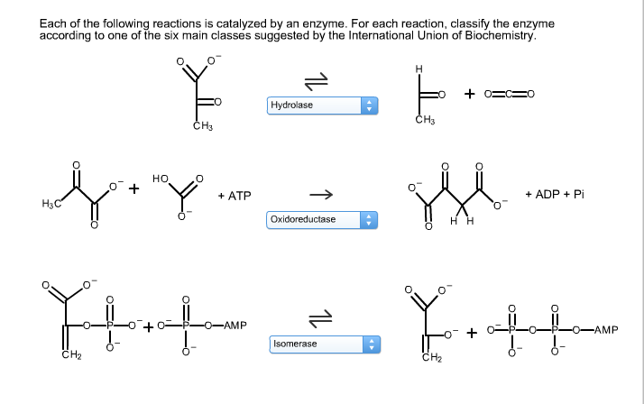Solved Each of the following reactions is catalyzed by an | Chegg.com