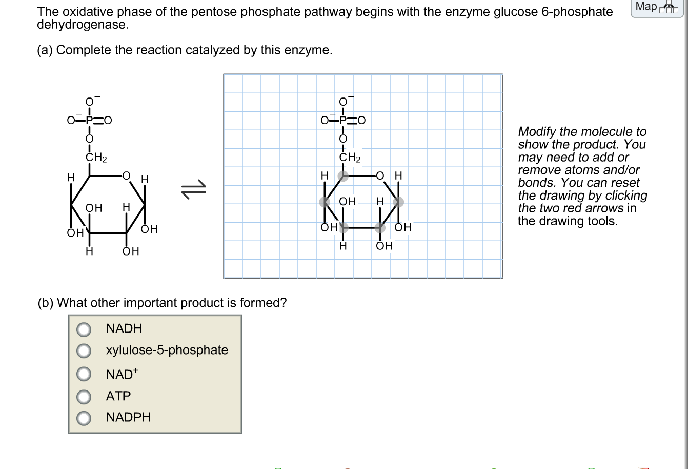 Solved The oxidative phase of the pentose phosphate pathway | Chegg.com