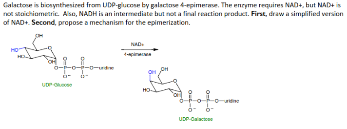 Solved Galactose is biosynthesized from UDP-glucose by | Chegg.com