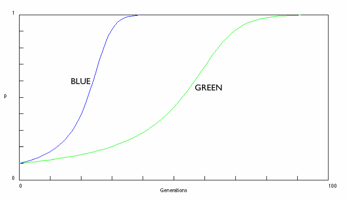 Solved his graph shows the change in allele frequency, p, | Chegg.com