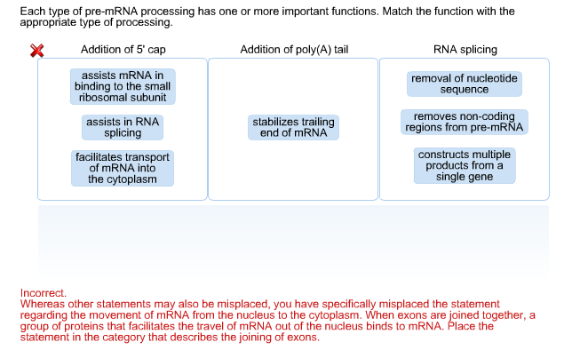 Solved Each type of pre-mRNA processing has one or more | Chegg.com