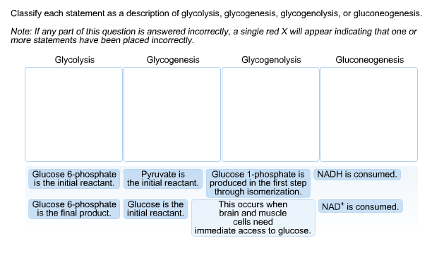 Solved Classify each statement as a description of | Chegg.com