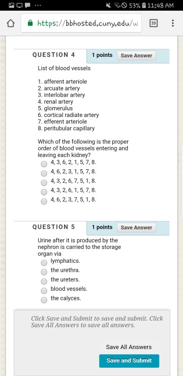 Solved , S 53% 11:48 AM https://bbhosted cuny,eduw QUESTION | Chegg.com