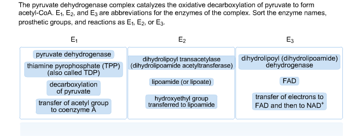 Solved The pyruvate dehydrogenase complex catalyzes the | Chegg.com