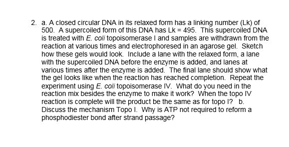 Solved 2. a. A closed circular DNA in its relaxed form has a | Chegg.com