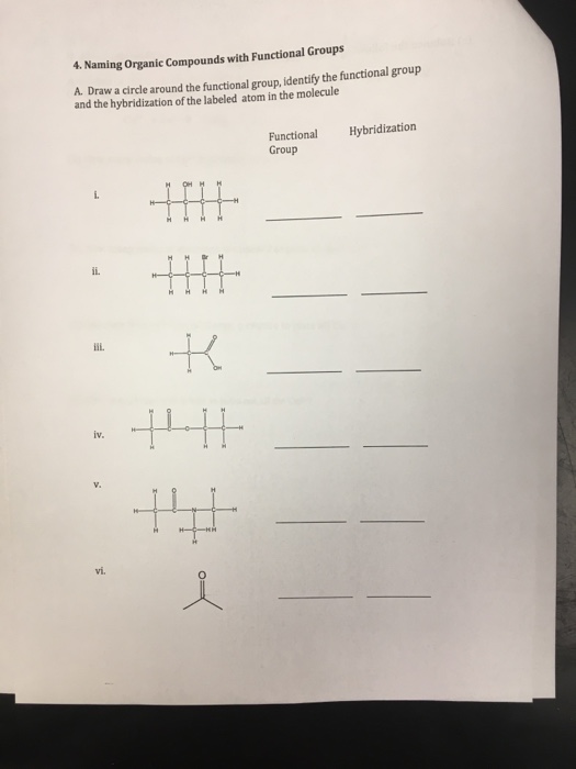 Solved Draw a circle around the functional group, identify | Chegg.com