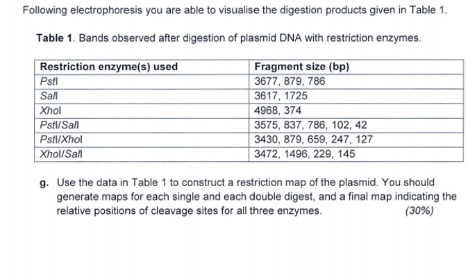 Solved Following electrophoresis you are able to visualise | Chegg.com