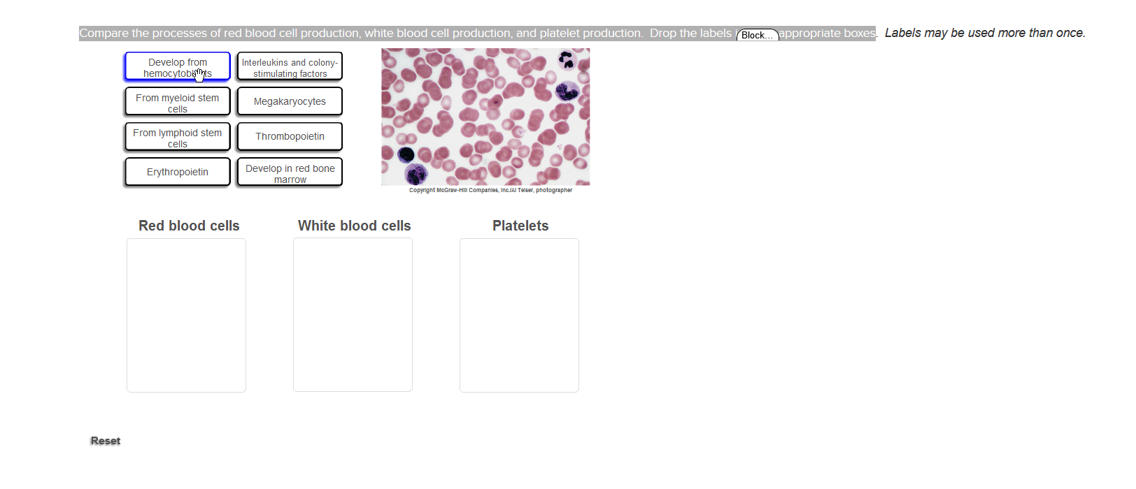 Solved Compare the processes of red blood cell production, | Chegg.com