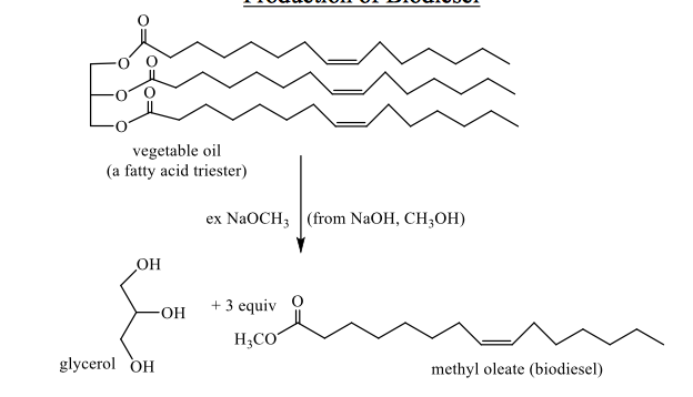 Solved o O vegetable oil (a fatty acid triester) ex | Chegg.com