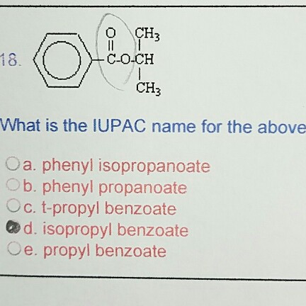 Solved What is the IUPAC name for the above a. phenyl | Chegg.com