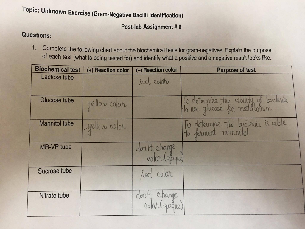 Solved Topic: Unknown Exercise (Gram-negative Bacilli | Chegg.com