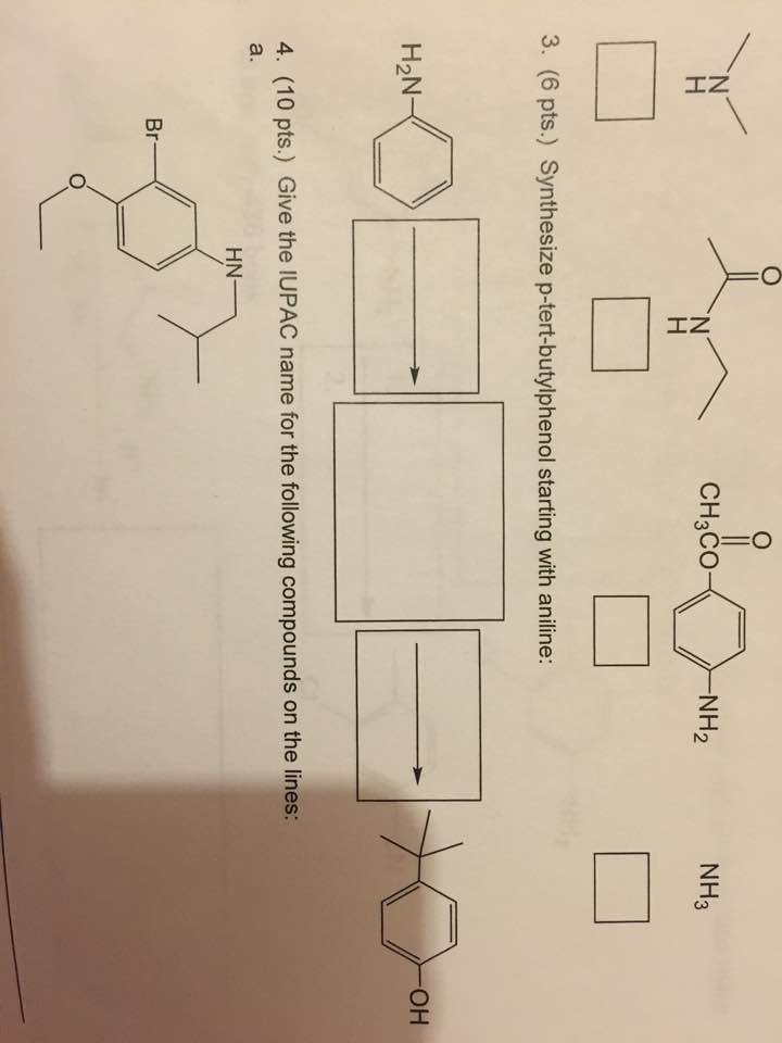 Solved Synthesize p-tert-butylphenol starting with aniline: | Chegg.com