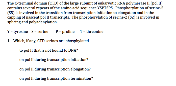 Solved The C Terminal Domain Ctd Of The Large Subunit Of