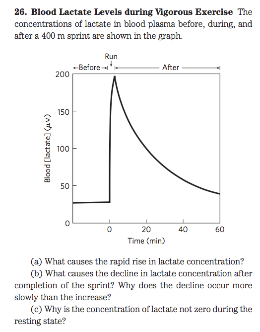 Solved 26. Blood Lactate Levels during Vigorous Exercise The | Chegg.com