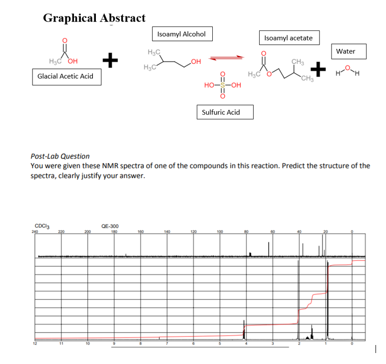 Solved Graphical Abstract Isoamyl Alcohol Isoamyl acetate | Chegg.com