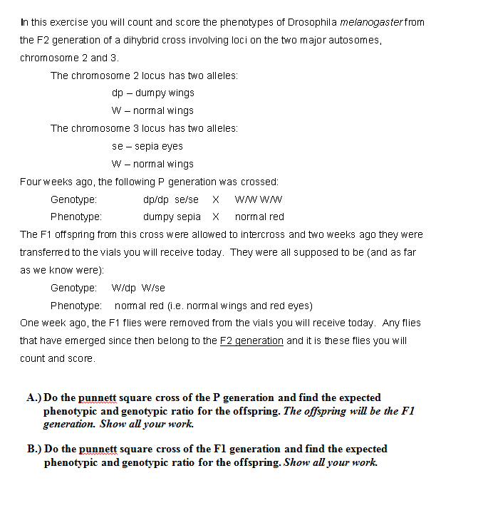 In this exercise you will count and score the | Chegg.com
