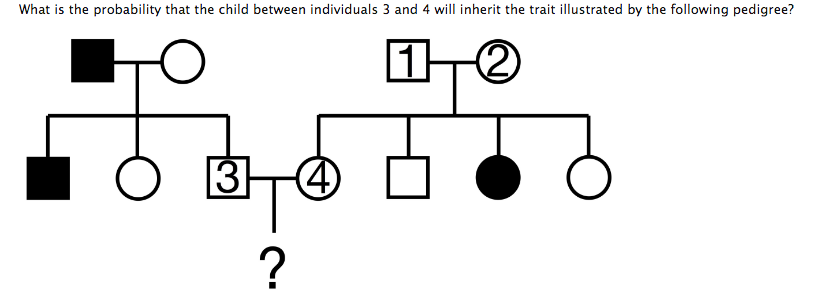 Solved What is the probability that the child between | Chegg.com