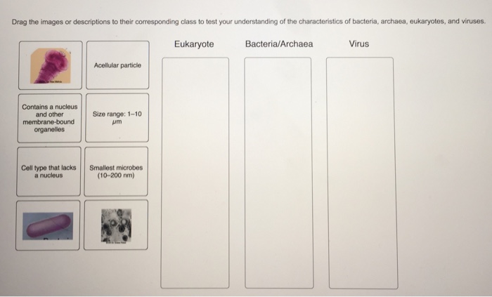 Biology Archive | January 19, 2017 | Chegg.com