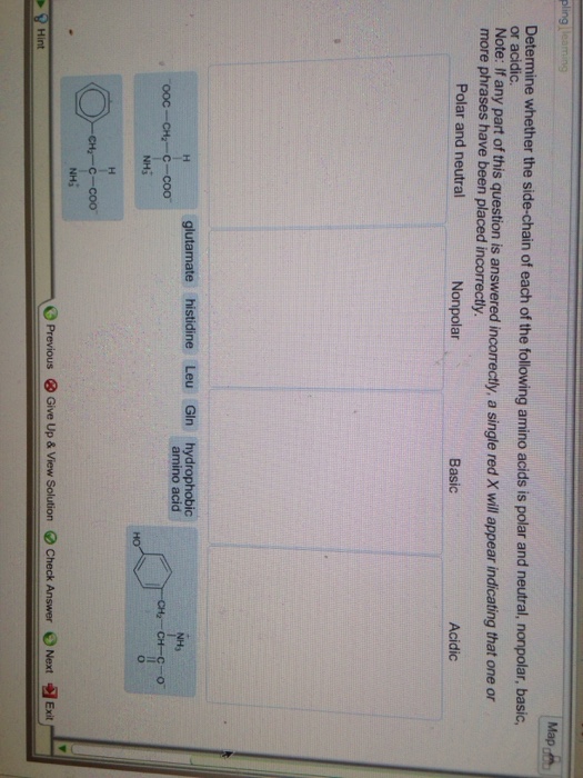 Solved Determine whether the side-chain of each of the | Chegg.com