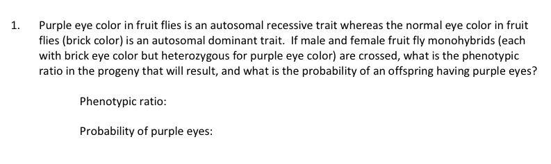 Solved Purple eye color in fruit flies is an autosomal | Chegg.com