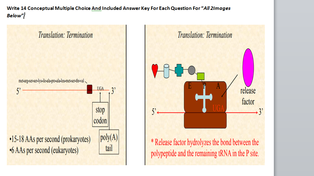 Solved Note: Write 14 Conceptual Multiple Choice And | Chegg.com