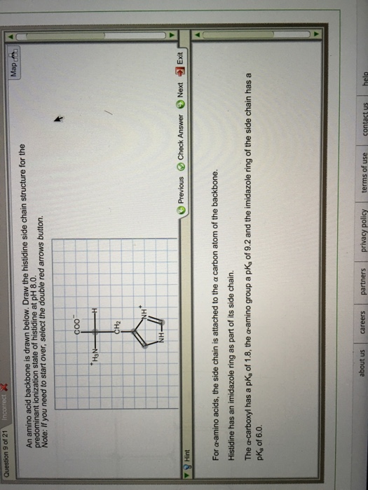 Solved Question 9 of 21 Map An amino acid backbone is drawn | Chegg.com