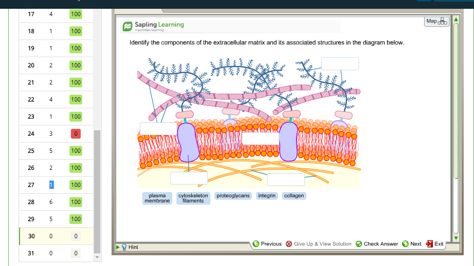 Solved: Identify The Components Of The Extracellular Matri... | Chegg.com