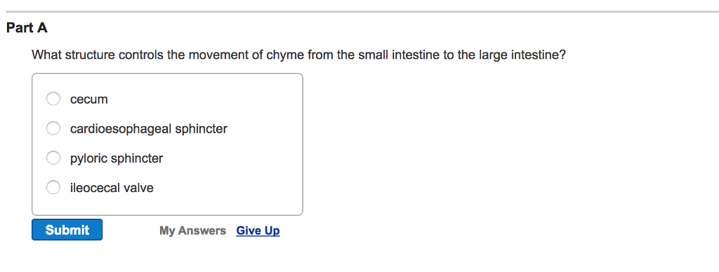 Solved What structure controls the movement of chyme from | Chegg.com