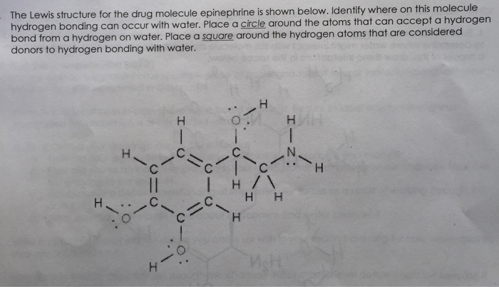 Solved The Lewis structure for the drug molecule epinephrine | Chegg.com