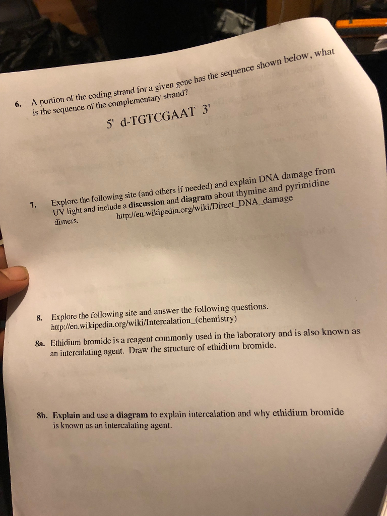 Solved portion of the coding strand for a given gene has the | Chegg.com