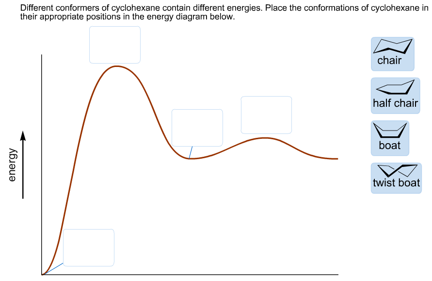 Solved Different conformers of cyclohexane contain different | Chegg.com