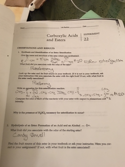 Solved Syntheses and identification of an eastern | Chegg.com