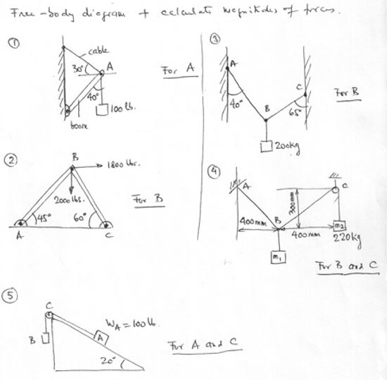 Solved Free-body diagram + calculate magnitudes of forces. | Chegg.com Solved Free-body diagram + calculate magnitudes of forces. | Chegg.com
