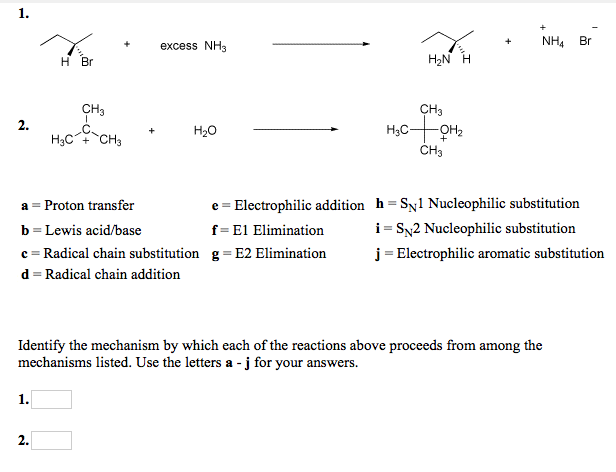 Solved excess NH3 +NH4 Br H Br H2N H CH3 CH3 2. H20 H2 CH3 a | Chegg.com