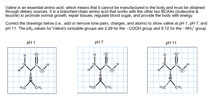 Valine Structure At Ph 1