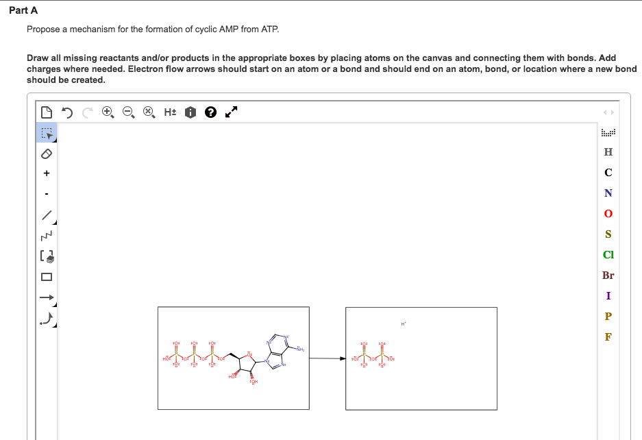 Solved Propose a mechanism for the formation of cyclic AMP | Chegg.com