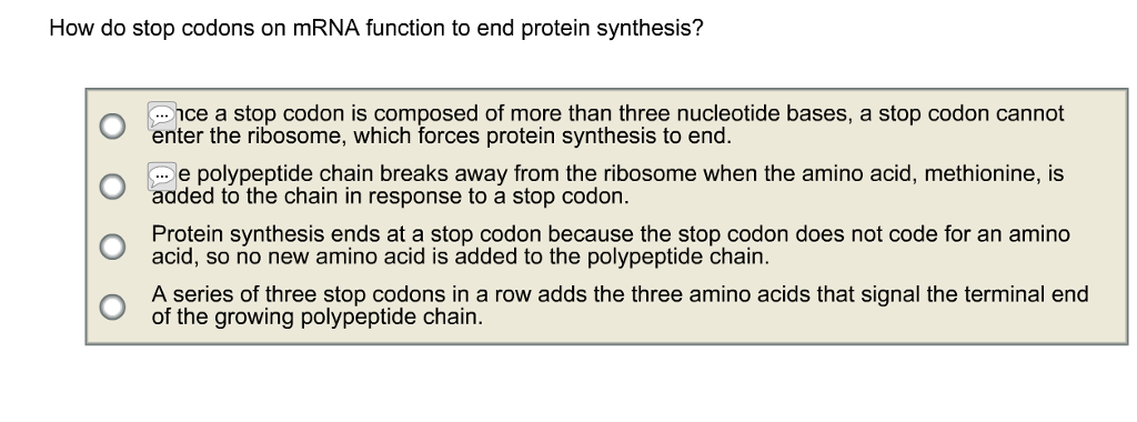 Solved How do stop codons on mRNA function to end protein | Chegg.com