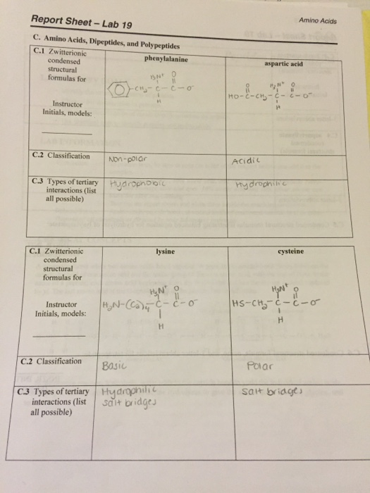 Solved Amino Acids Report Sheet-Lab 19 C. Amino Acids, | Chegg.com Solved Amino Acids Report Sheet-Lab 19 C. Amino Acids, | Chegg.com